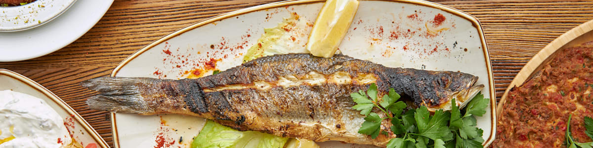 Oba Grill Delivery Menu | Order Online | 104-02 Metropolitan Ave Forest ...