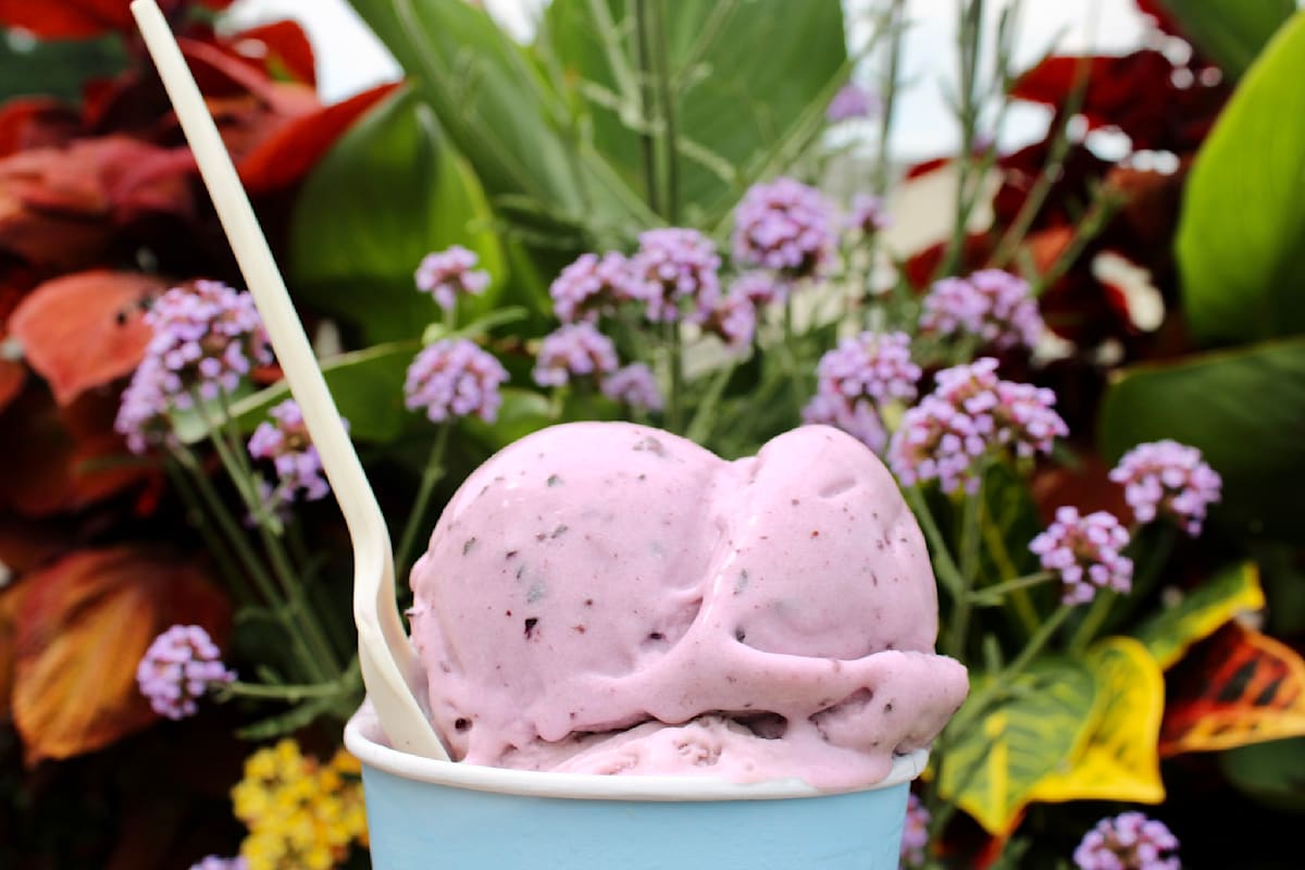 Owowcow Creamery Delivery Menu | Order Online | 1262 Simon Blvd B106 ...