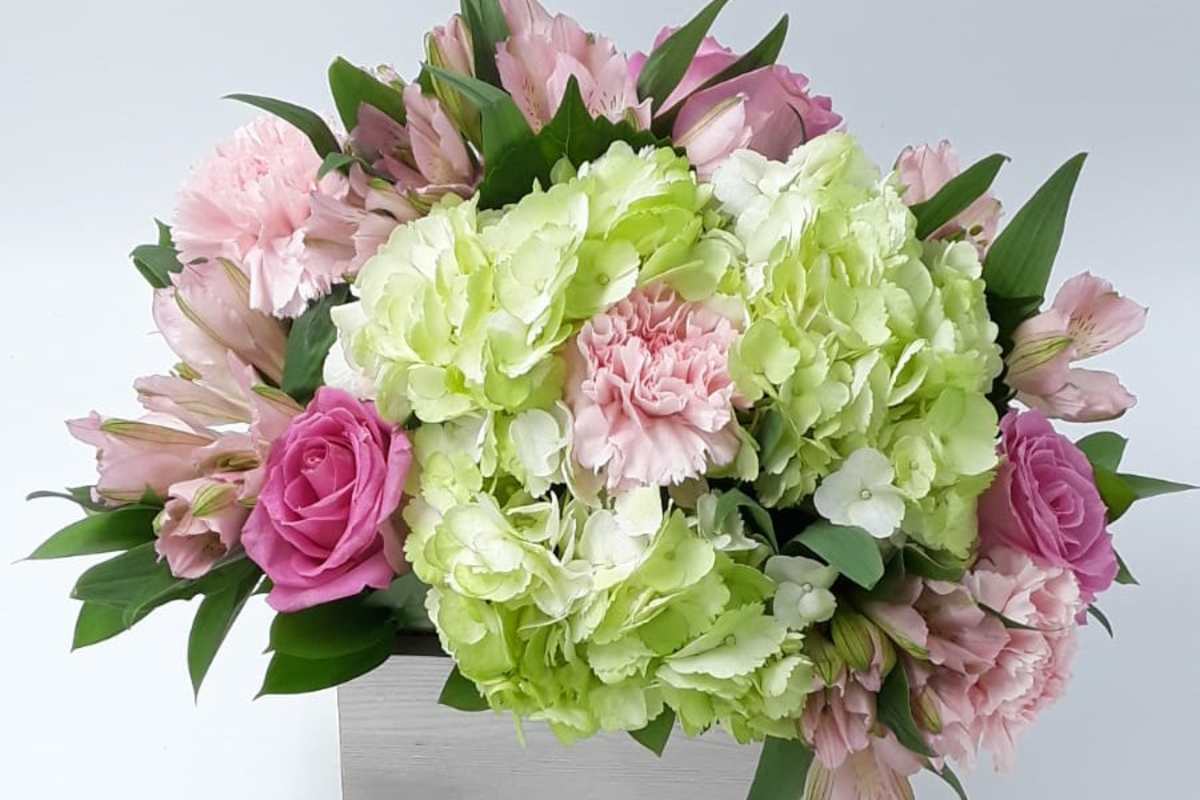 Believe Flowers Delivery Menu | Order Online | 324 S Federal Hwy Dania ...