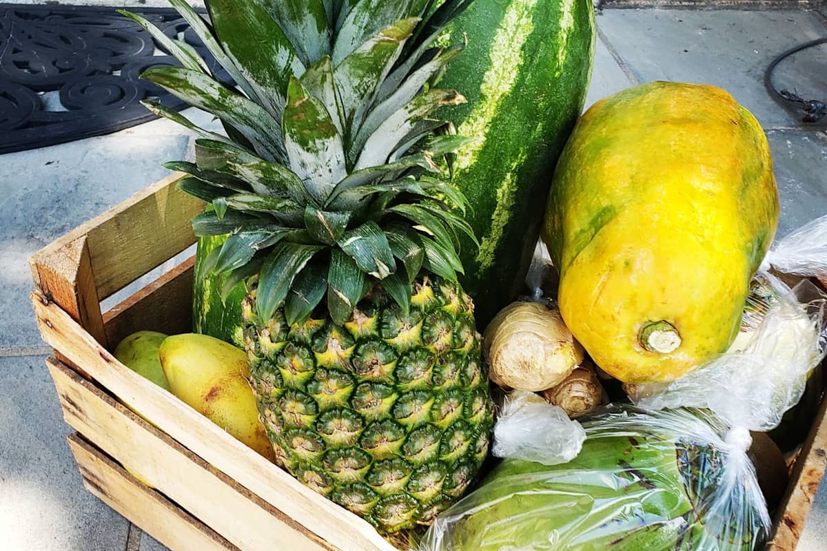 Cane & Coconut Delivery Menu | Order Online | 3501 Georgia Ave NW ...