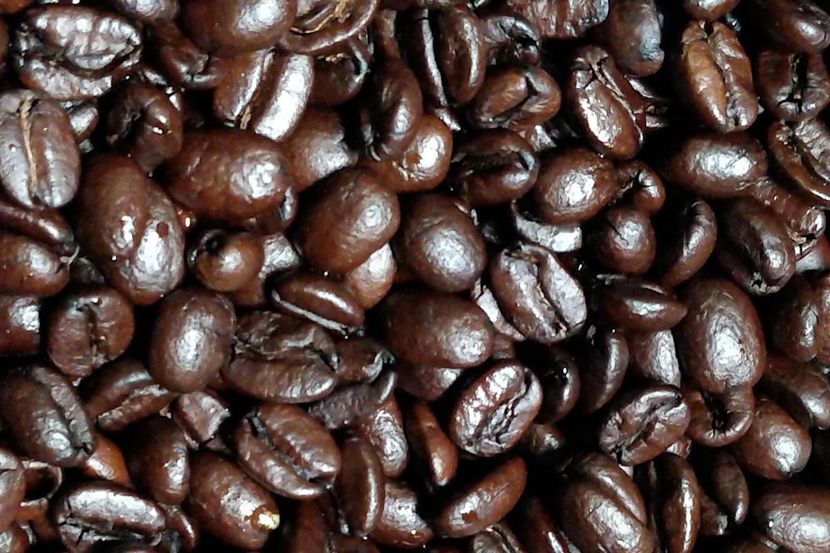 Chatz Coffee Roasting Delivery Menu | Order Online | 4221 Brew Master ...