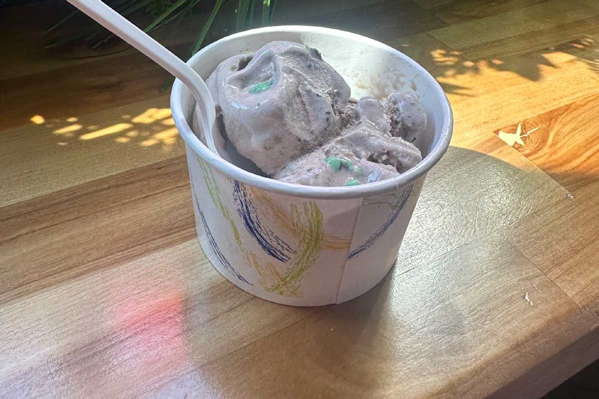 Paradice Italian Ice & Ice Cream Delivery Menu | Order Online | 1906 ...