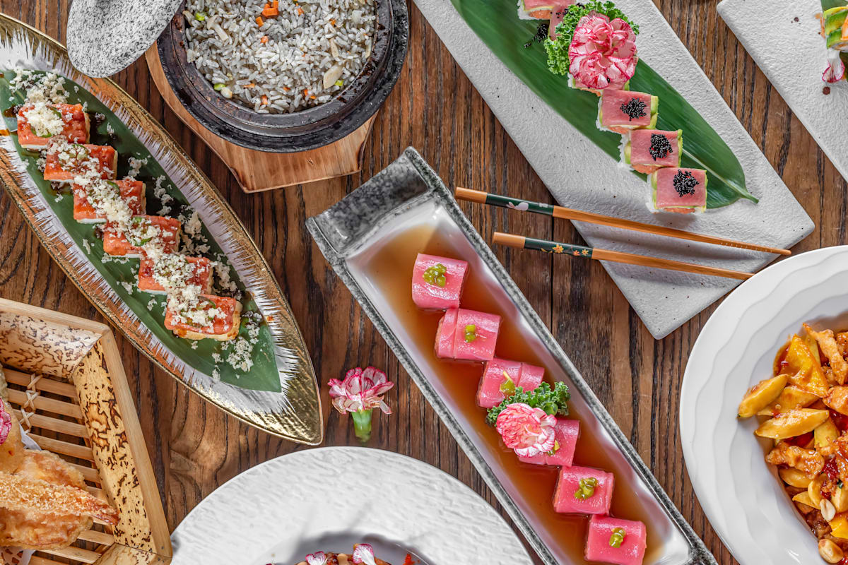 SKYFIN Asian Bistro Delivery Menu | Order Online | 8221 Glades Rd #5&6 ...