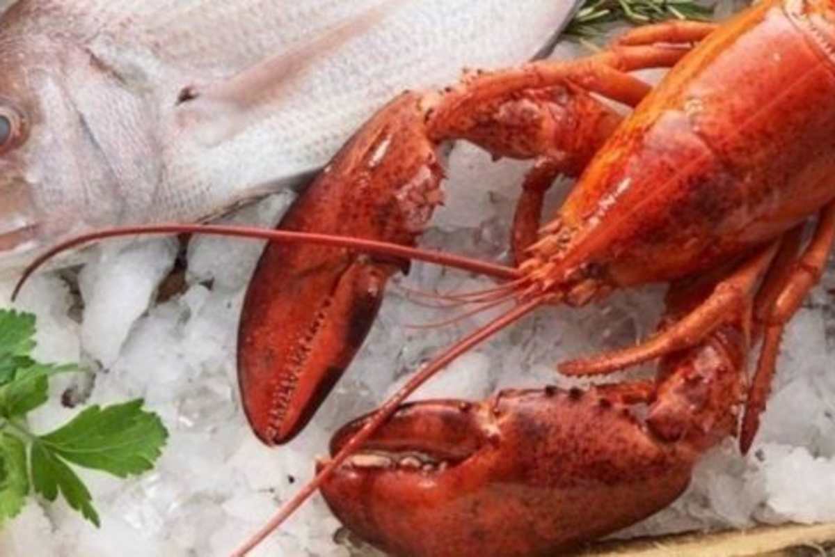 James Hook Fish Co. Seafood Market Delivery Menu | Order Online | 440 ...