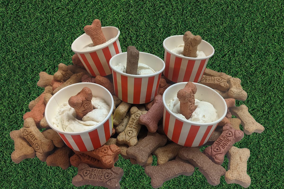 Frozen Cow Ices & Cream Delivery Menu | Order Online | 300 Lido Blvd ...