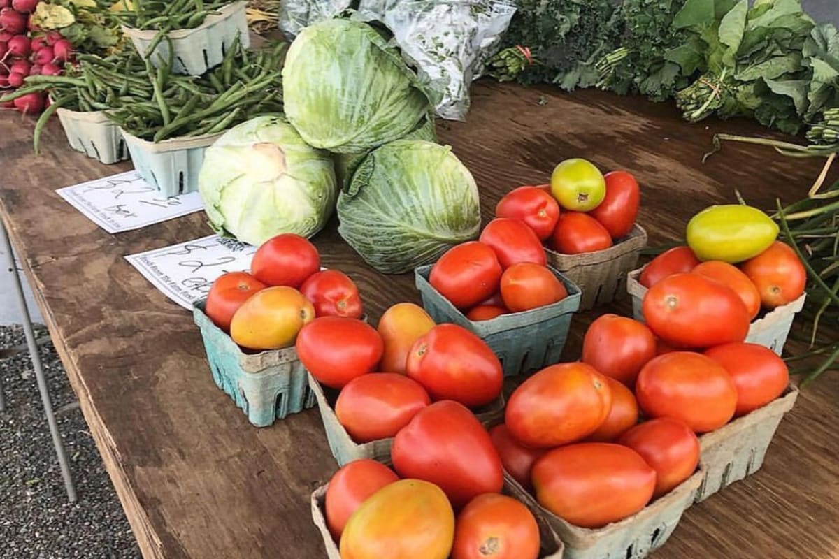 Lakeside Deli Delivery Menu | Order Online | 5014 Lakeside Avenue ...