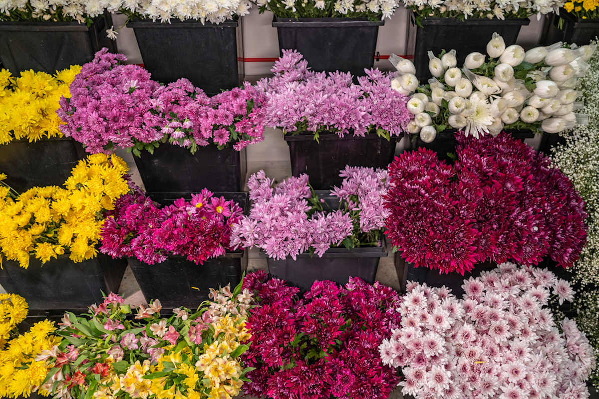 Rainbow Florist Designers Delivery Menu | Order Online | 18980 Soledad ...