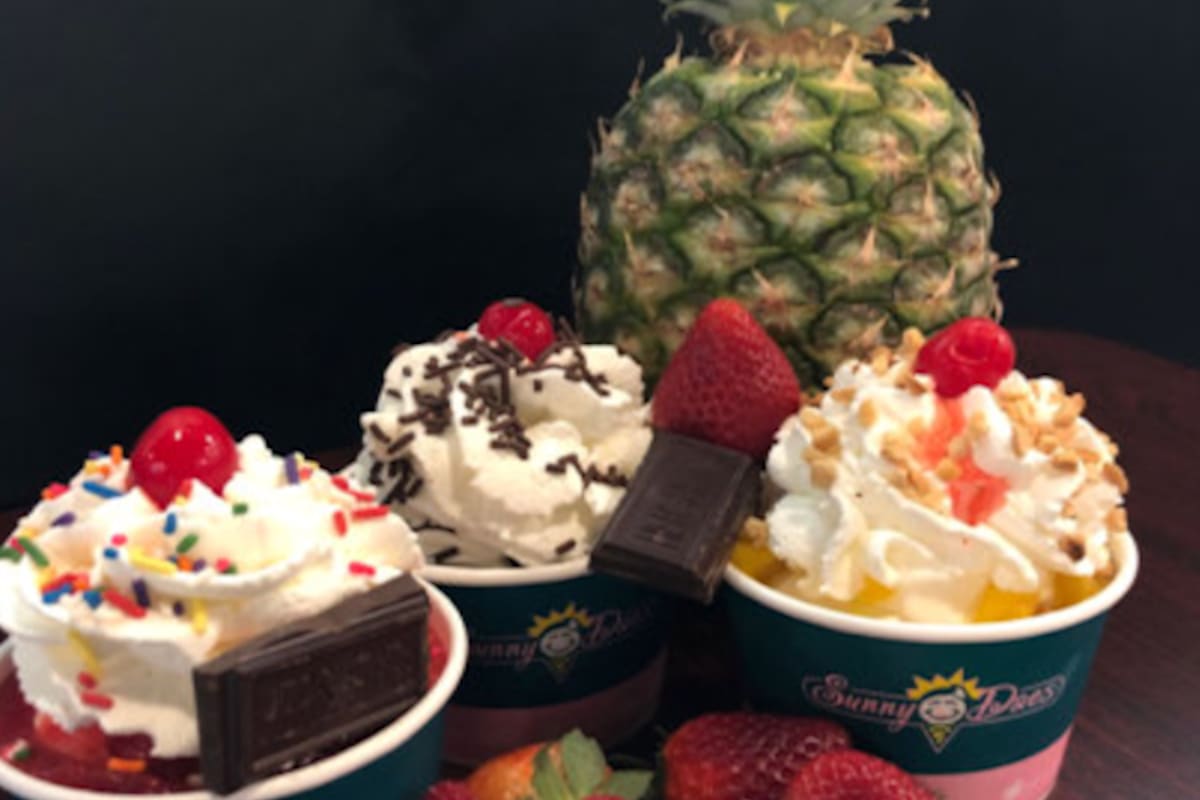 Sunny Daes Ice Cream Delivery Menu | Order Online | 633 Shippan Avenue ...