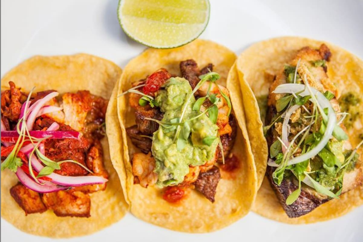 Toloache Restaurant Delivery Menu | Order Online | 166 E 82nd St New ...