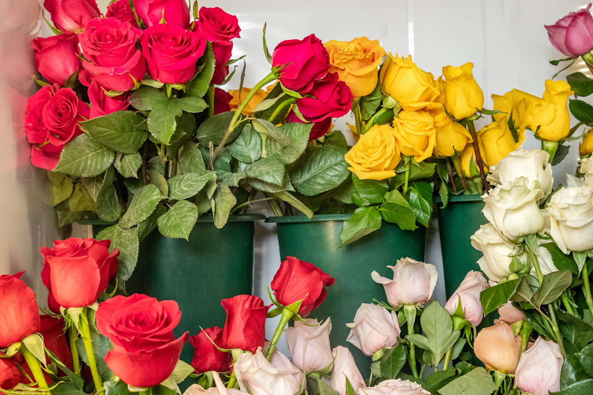 Chris Flower Shop Delivery Menu | Order Online | 8516 17th Ave Brooklyn ...