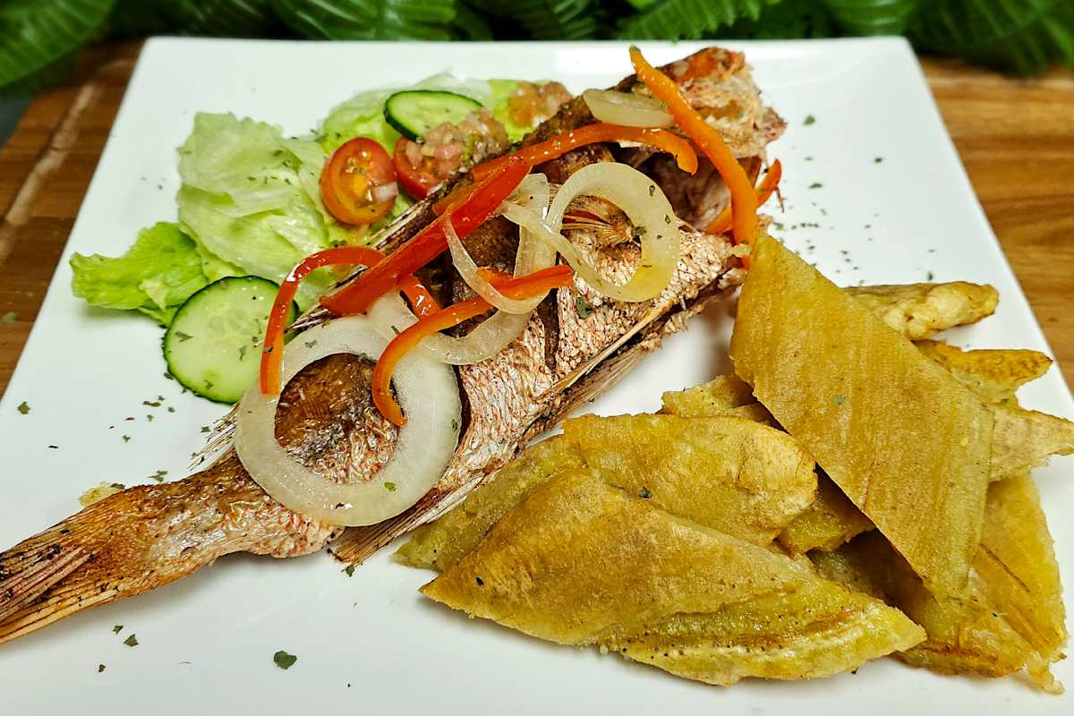 Mofongo Factory Restaurant Delivery Menu | Order Online | 299 Hancock ...