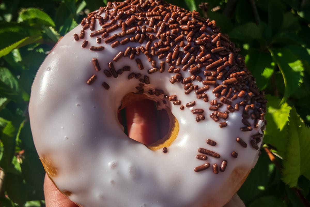 Boston Donuts - Worcester Delivery Menu | Order Online | 338 Park Ave ...