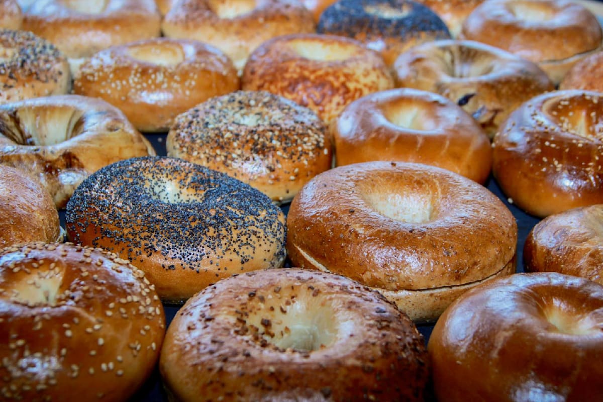 Tasty's Bagels, Norton - West Main Street Delivery Menu | Order Online ...