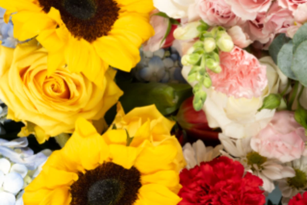 Anonymous Flowers Delivery Menu | Order Online | 4700 NW 7th St Miami ...