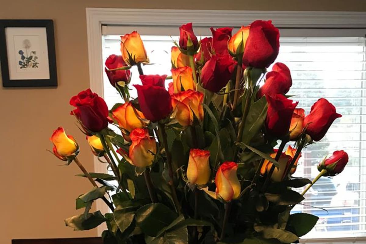 GLOBAL ROSES Delivery Menu | Order Online | 1501 West Farms Road Bronx ...