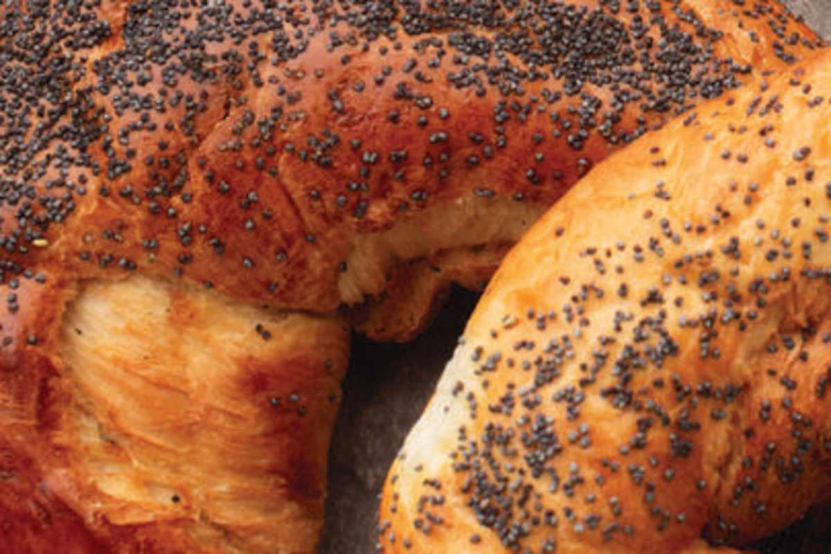 Bagel Monster Delivery Menu | Order Online | 1741 1st Ave. New York | Grubhub