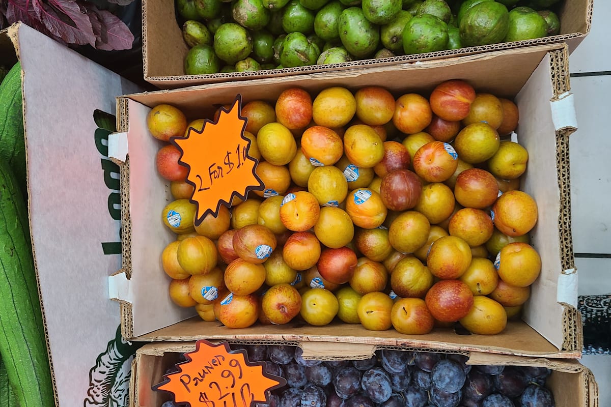 Al Barakah Delivery Menu | Order Online | 1249 Fulton St Brooklyn | Grubhub