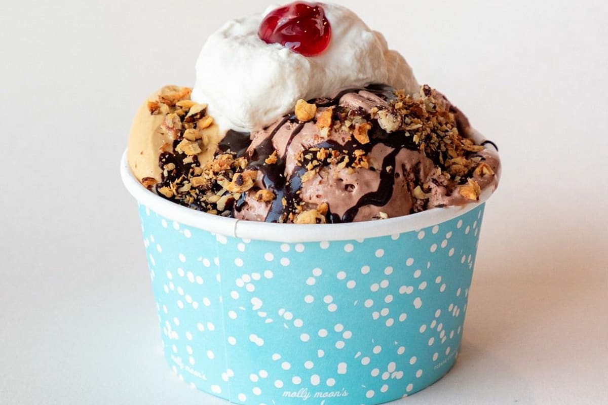 Molly Moon's Homemade Ice Cream Delivery Menu | Order Online | 16272 ...