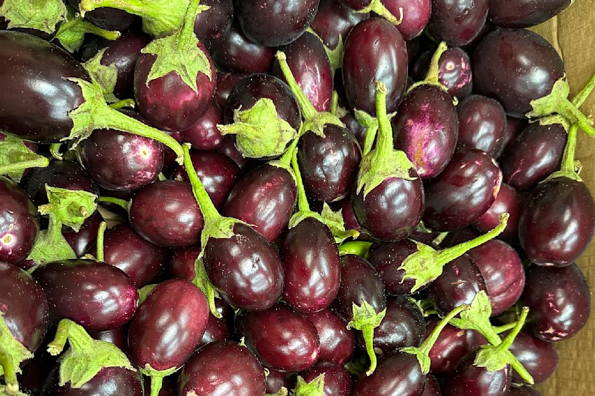 Mannat Indian Grocers Delivery Menu | Order Online | 7599 McKnight Rd ...