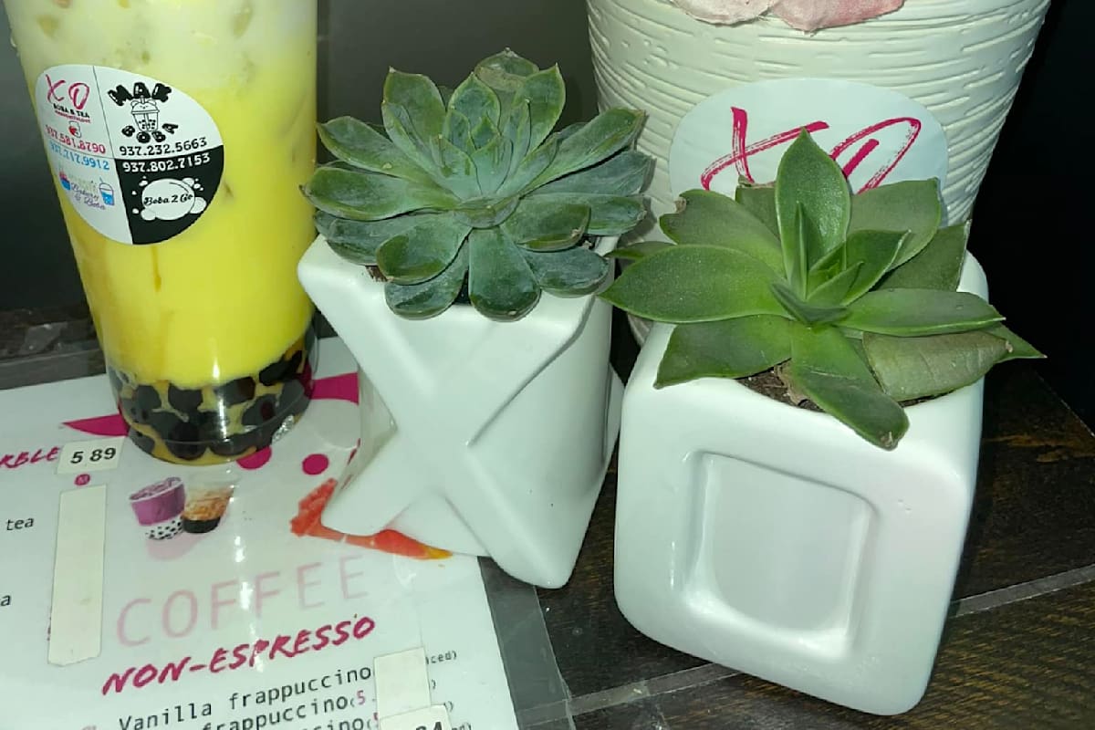 Xo Boba and Tea Delivery Menu | Order Online | 224 E Stroop Rd ...