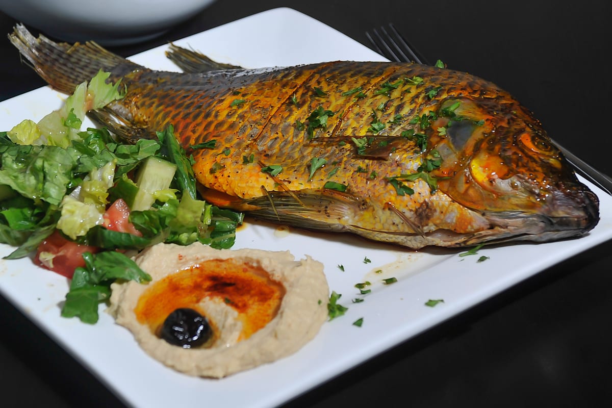 Dijla Cafe Delivery Menu | Order Online | 3711 N Decatur Rd Ste 116 ...