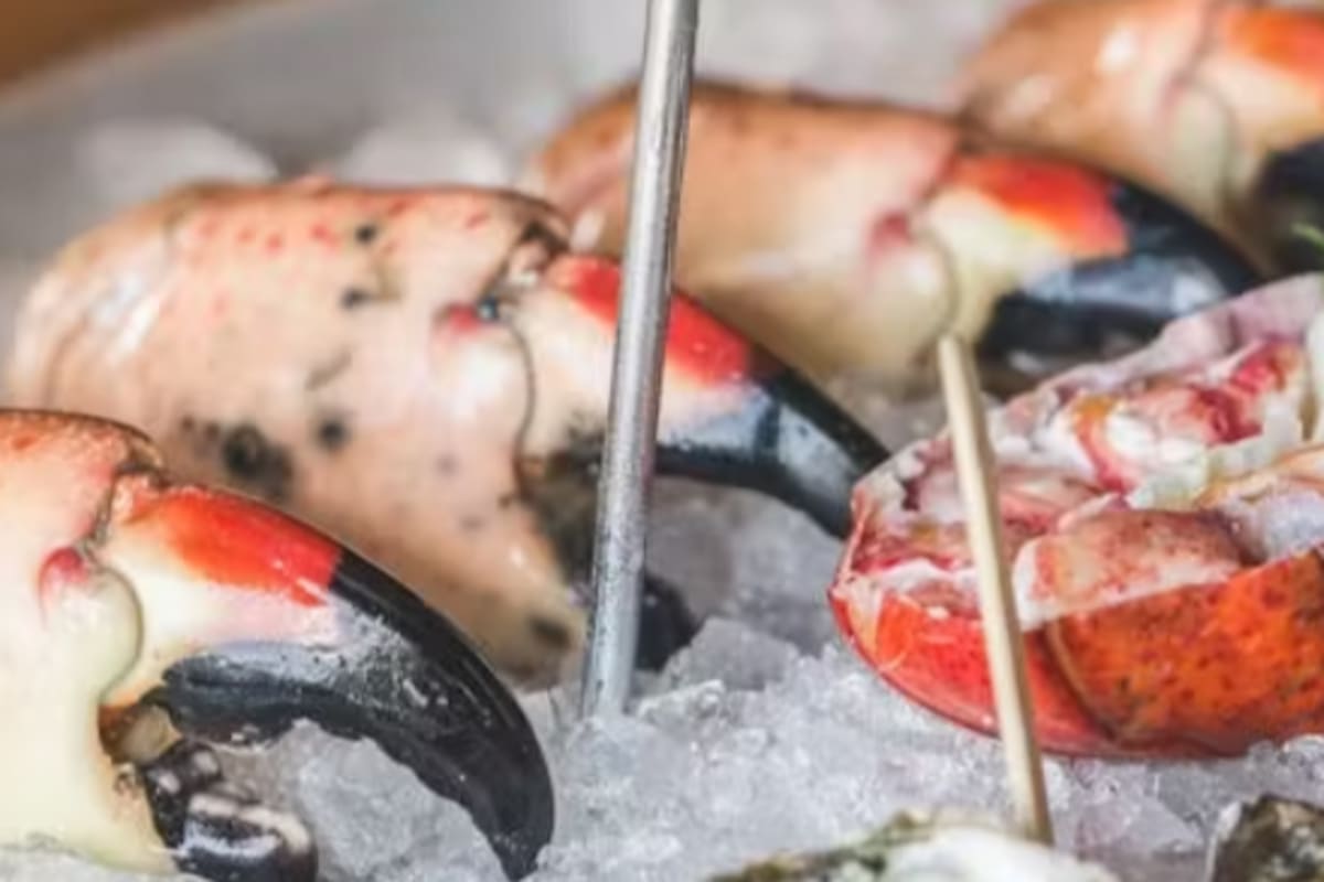 Even Keel Fish Shack Delivery Menu | Order Online | 112 Commercial Blvd ...