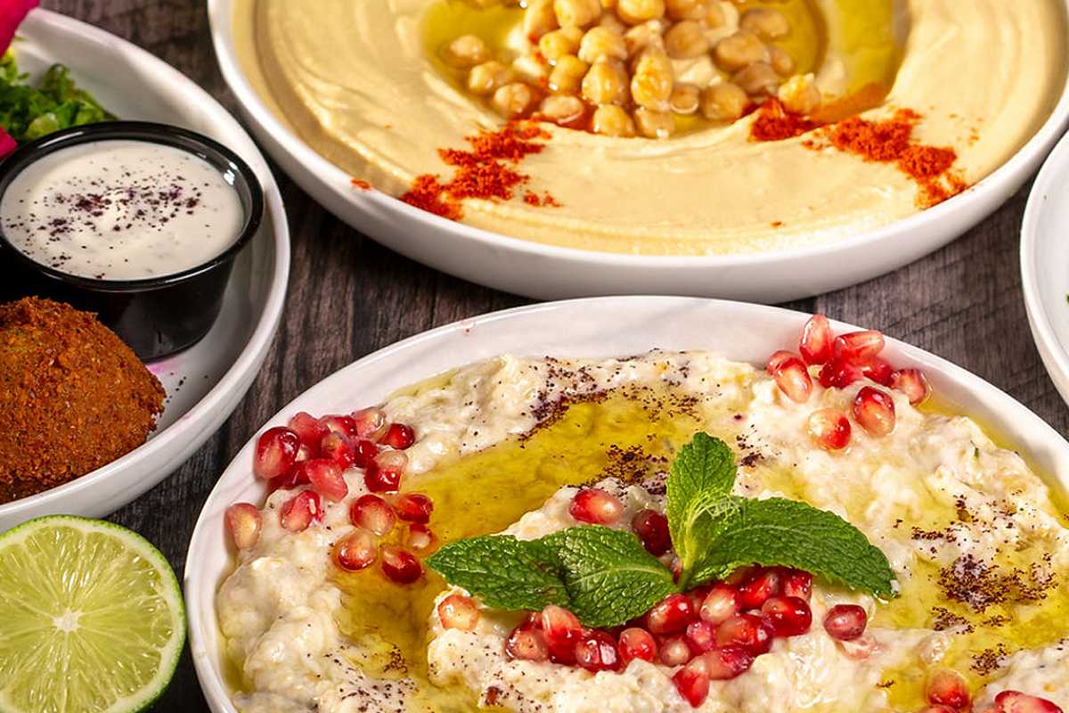 Mr. Shawarma Delivery Menu | Order Online | 979 Woodland Parkway San ...