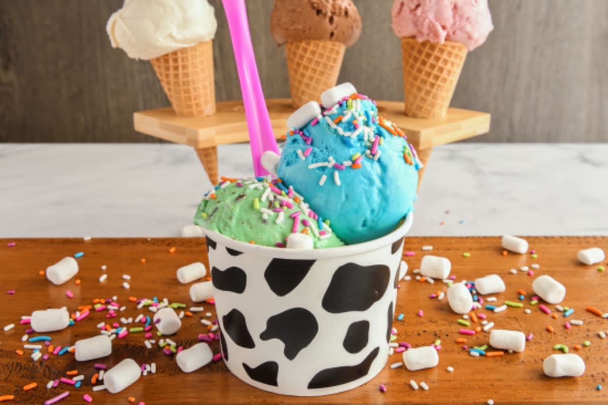 Char Burger & Creamery Delivery Menu | Order Online | 779 US-202 ...