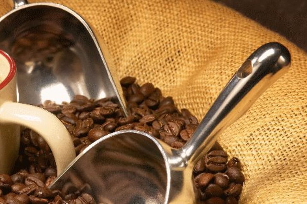 Cabin Coffee Delivery Menu | Order Online | 401 Jay St La Crosse | Grubhub