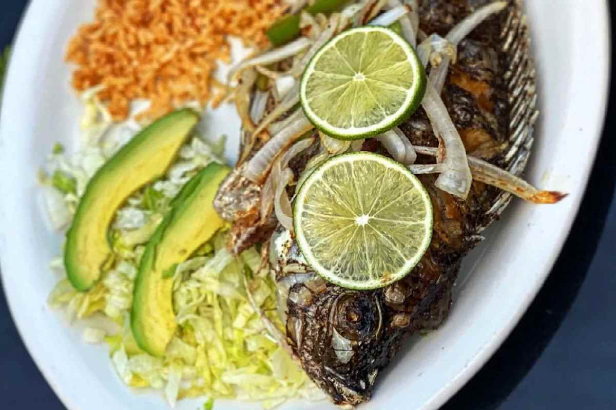 Taco More Delivery Menu | Order Online | 9414 Parkfield Dr Austin | Grubhub