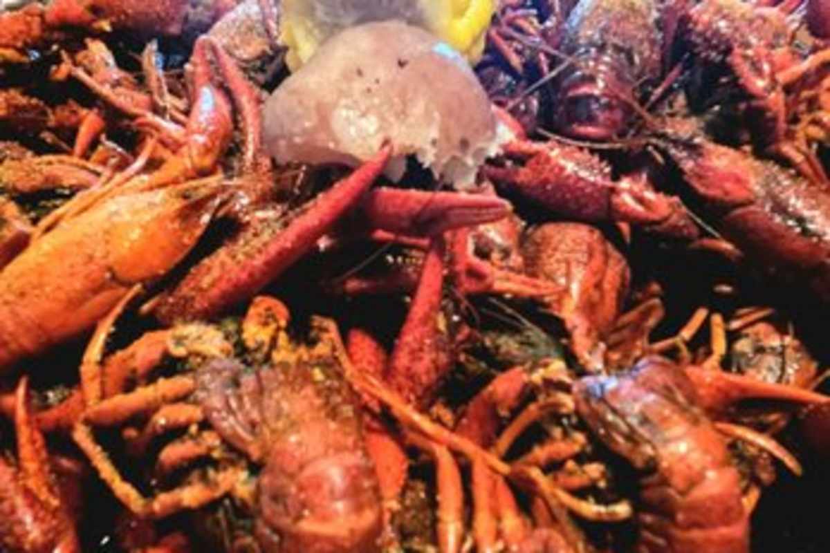 Bluewater Seafood Delivery Menu | Order Online | 4921 Farm to Market ...