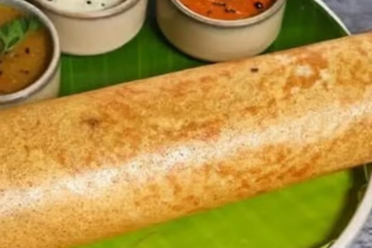 Helo India Food Truck - Lutz, FL Restaurant | Menu + Delivery | Seamless