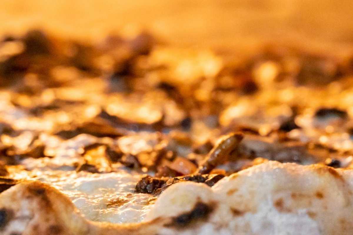 Treno Pizza Bar - Haddon Township, NJ Restaurant | Menu + Delivery ...