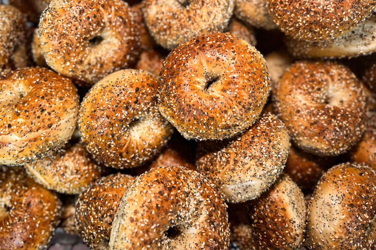 Shug's Bagels - After Hours Delivery Menu | Order Online | 3020 ...