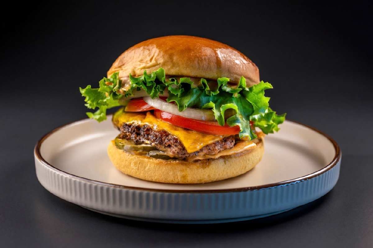 Coco Burger & Chicken Delivery Menu | Order Online | 825 S Mannheim Rd ...