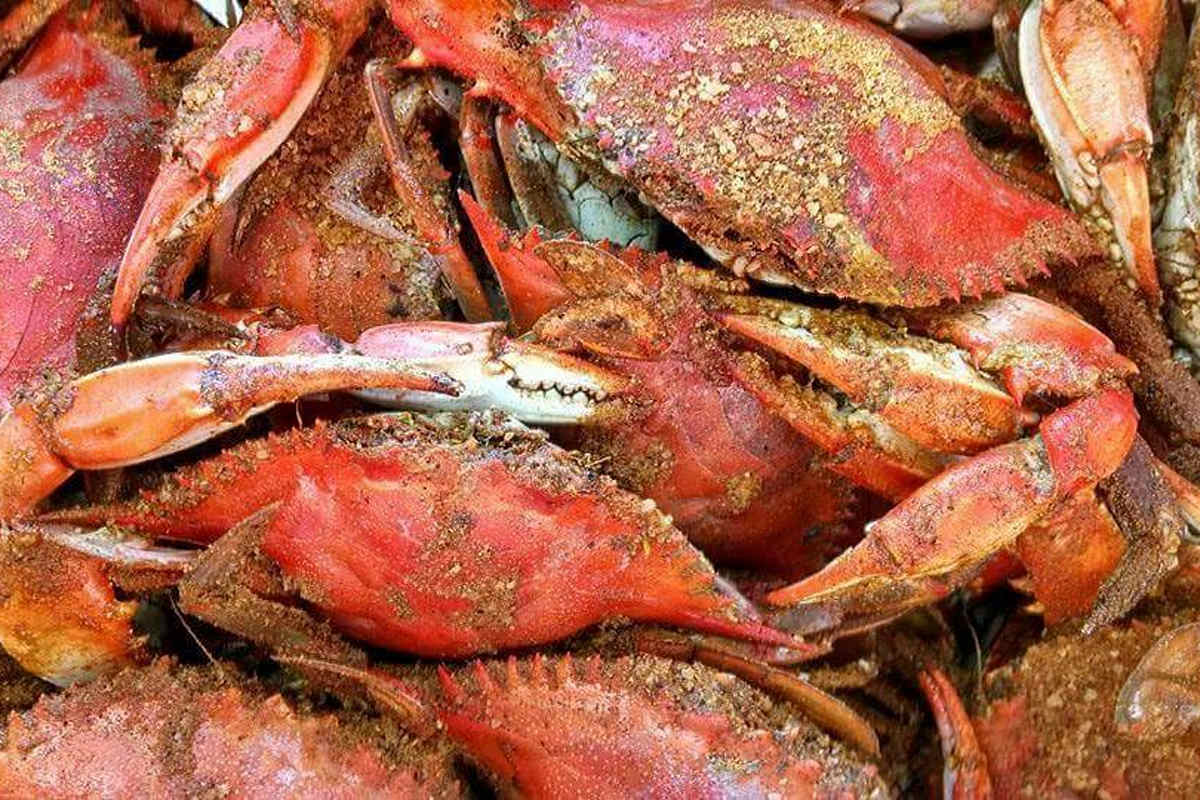 Nick's Crabs Delivery Menu | Order Online | 3720 Southwestern Blvd ...