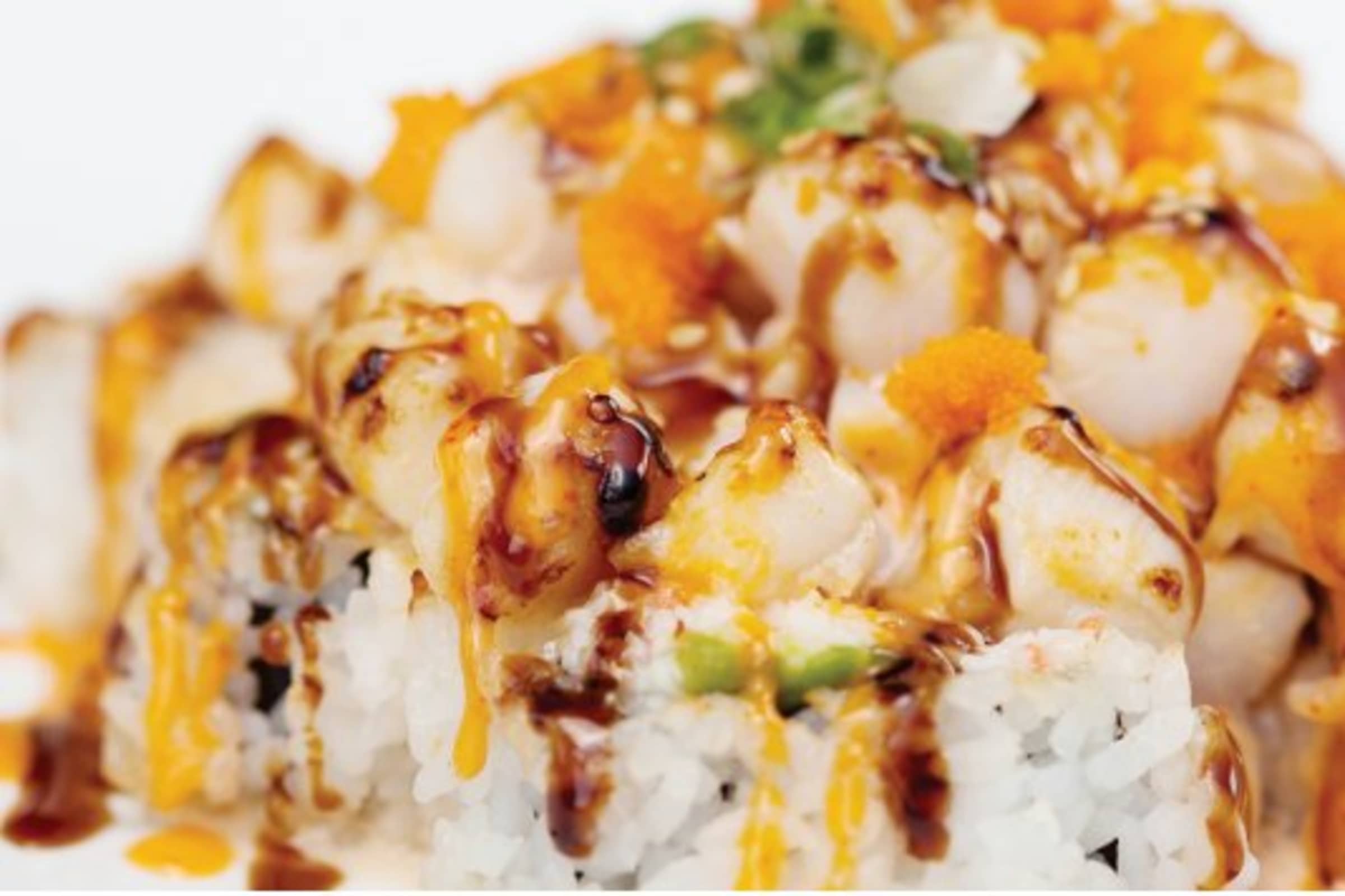 Raku Sushi & Teriyaki Delivery Menu | Order Online | 3941 South Bristol ...