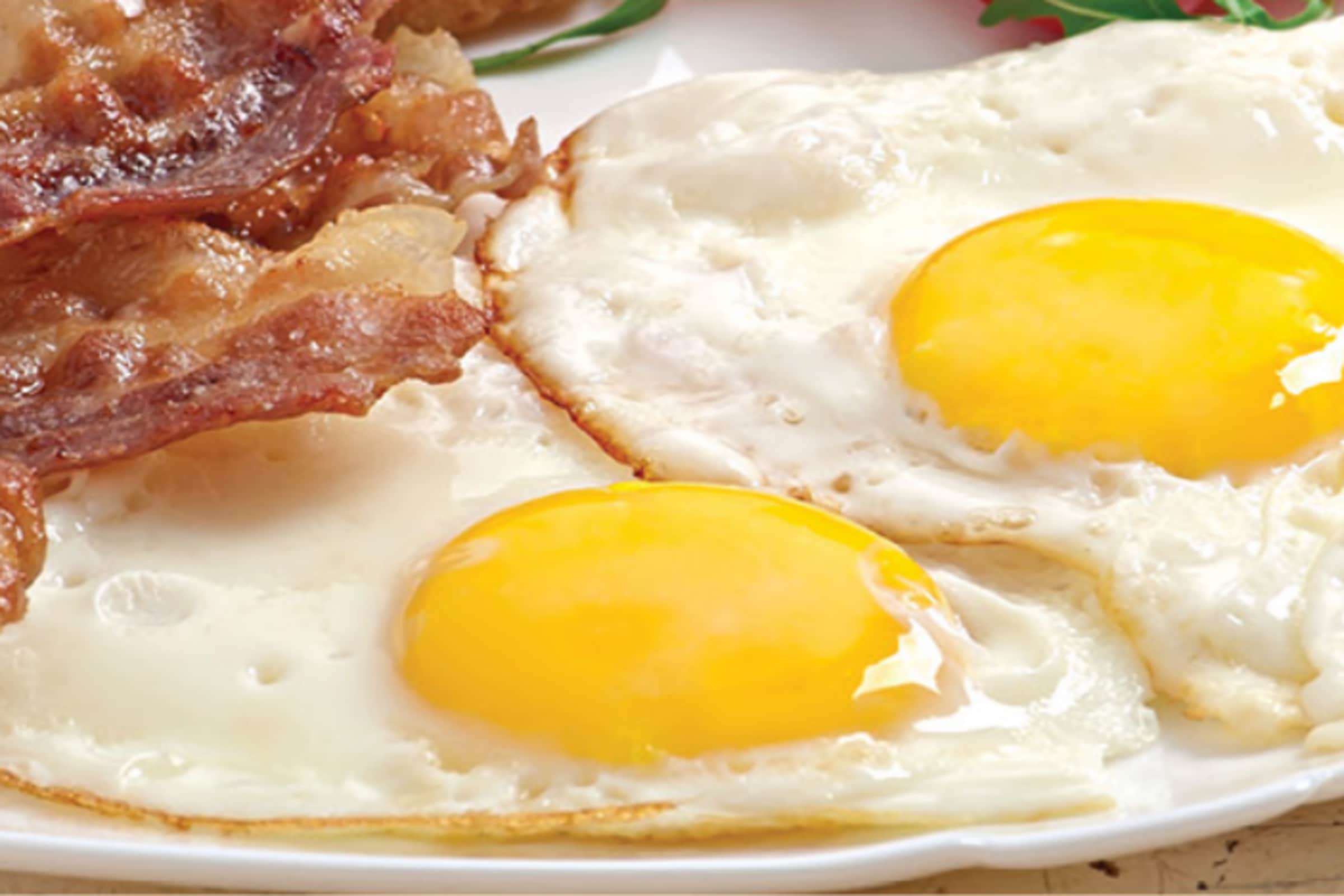 Route 40 Diner Delivery Menu | Order Online | 1705 Pulaski Hwy Bear ...