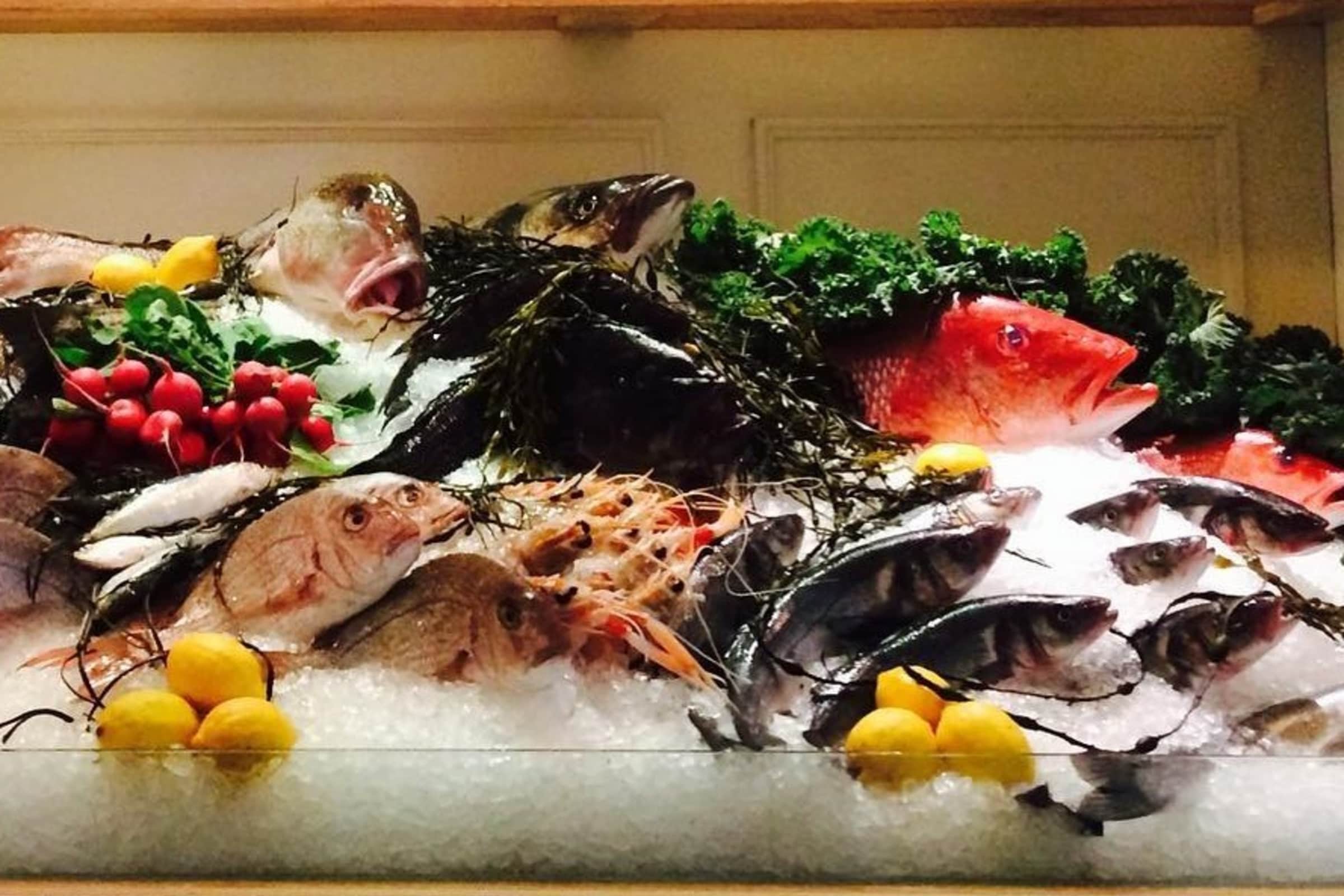 Kyma Delivery Menu | Order Online | 1446 Old Northern Blvd Roslyn | Grubhub