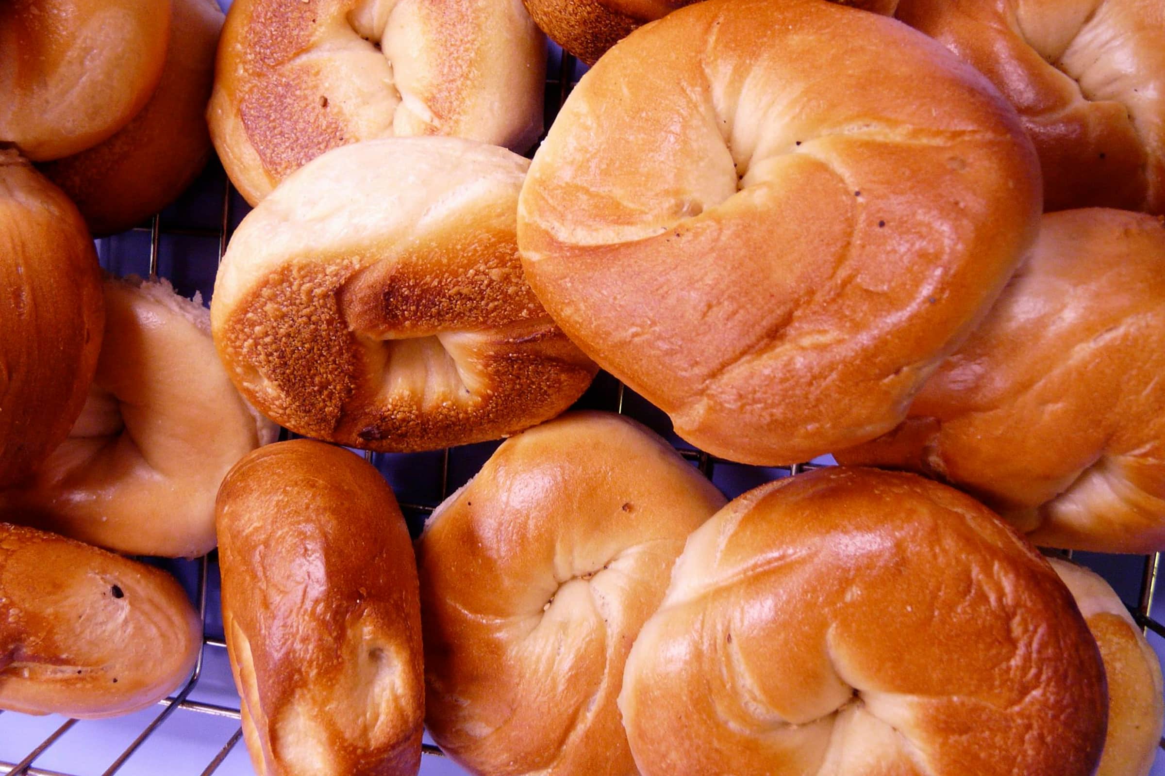 Hand Rolled Bagels Delivery Menu | Order Online | 930 Hillside Avenue ...