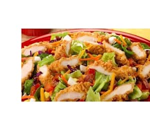 Cheesesteak U Delivery Menu | Order Online | 1315 Highway 501 Business ...