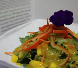 Franchia Vegan Café - New York, NY Restaurant | Menu + Delivery | Seamless