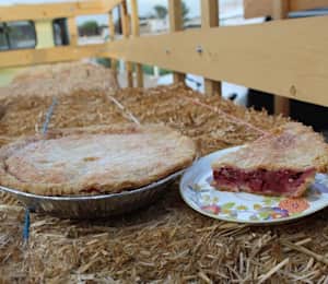 Amadio Ranch's Peach Pit Bistro Delivery Menu | Order Online | 4701 W ...