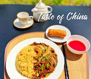 Taste of China Chinese Restaurant Delivery Menu | Order Online | 1705 S ...