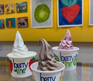 BerryLine Delivery Menu | Order Online | 3 Arrow St Cambridge | Grubhub