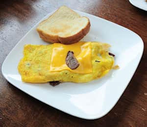 Brooks Landing Diner Delivery Menu | Order Online | 904 Genesee St ...