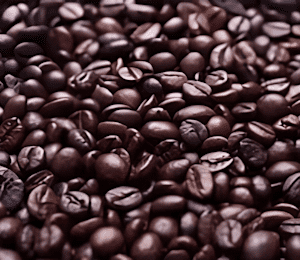 Ava Roasteria Delivery Menu | Order Online | 4655 SW Hall Blvd ...