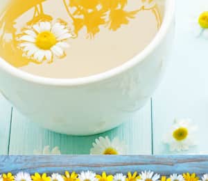 Leonetti Bakery Delivery Menu | Order Online | 82 Glen Cove Rd ...