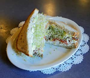 Sacks Sandwiches Hardy Delivery Menu | Order Online | 839 W University ...