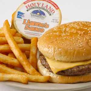 Holy Land Middle Eastern Restaurant & Deli Delivery Menu | Order Online ...